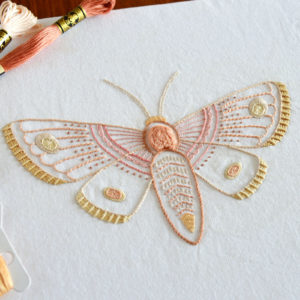 Anatomical Moth stitchable embroidery pattern + PDF by Kelly Fletcher - Maydel Craft