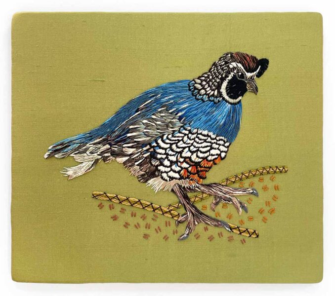California Quail by Elba Embroidery - Maydel