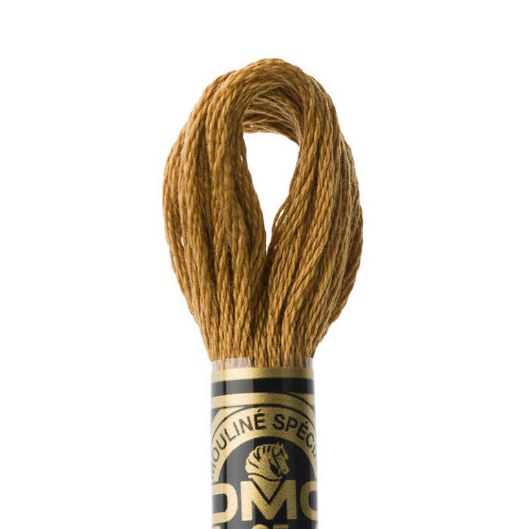 DMC 167: Very Dark Yellow Beige (6-strand cotton floss) - Maydel