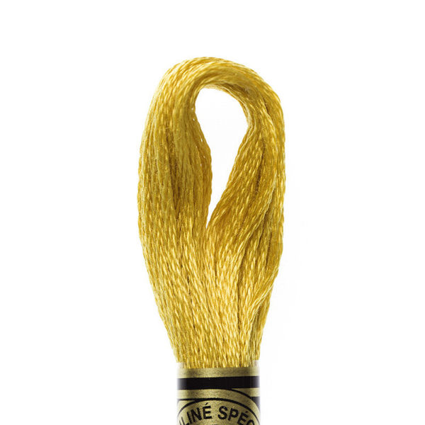 DMC 3820: Dark Straw (6-strand cotton floss) - Maydel Craft