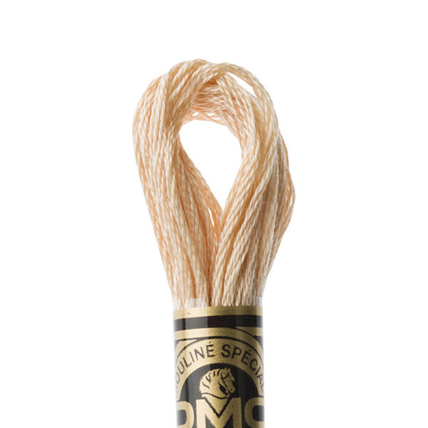 DMC 945: Tawny (6-strand cotton floss) - Maydel