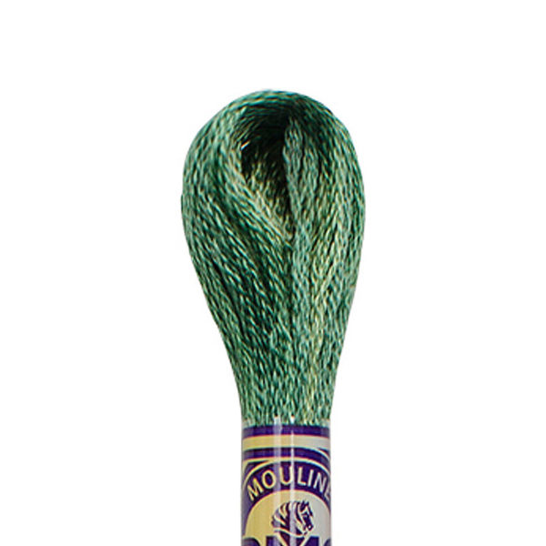 DMC 4045: Color Variations Evergreen Forest (6-strand cotton) - Maydel ...
